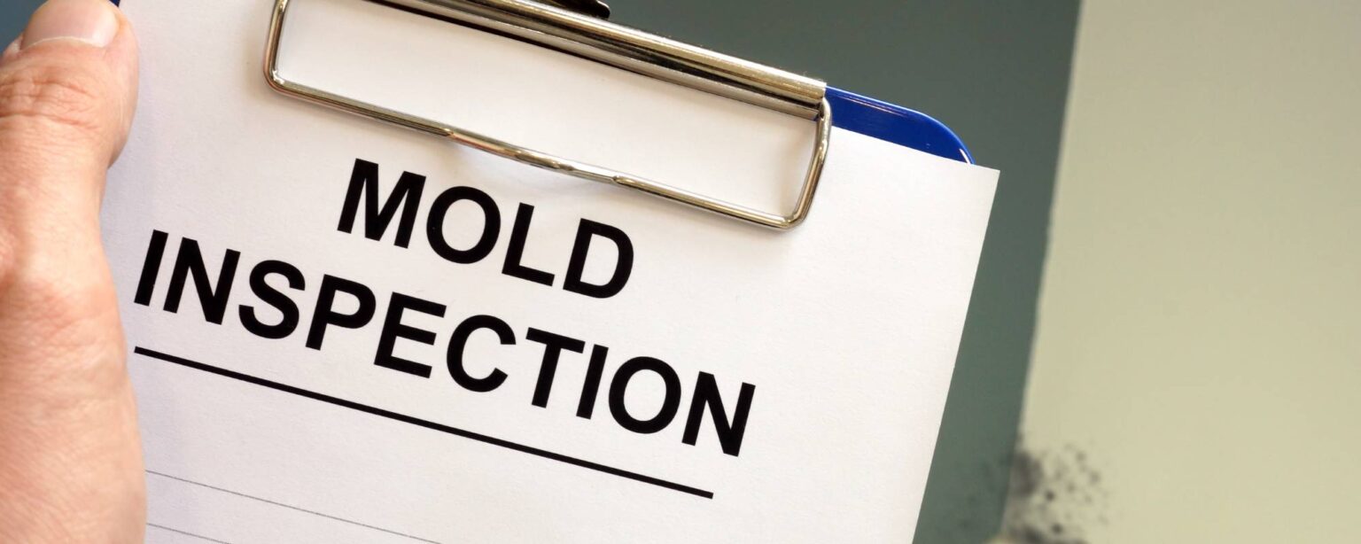 Mold Inspection, Mold Remediation Orange County